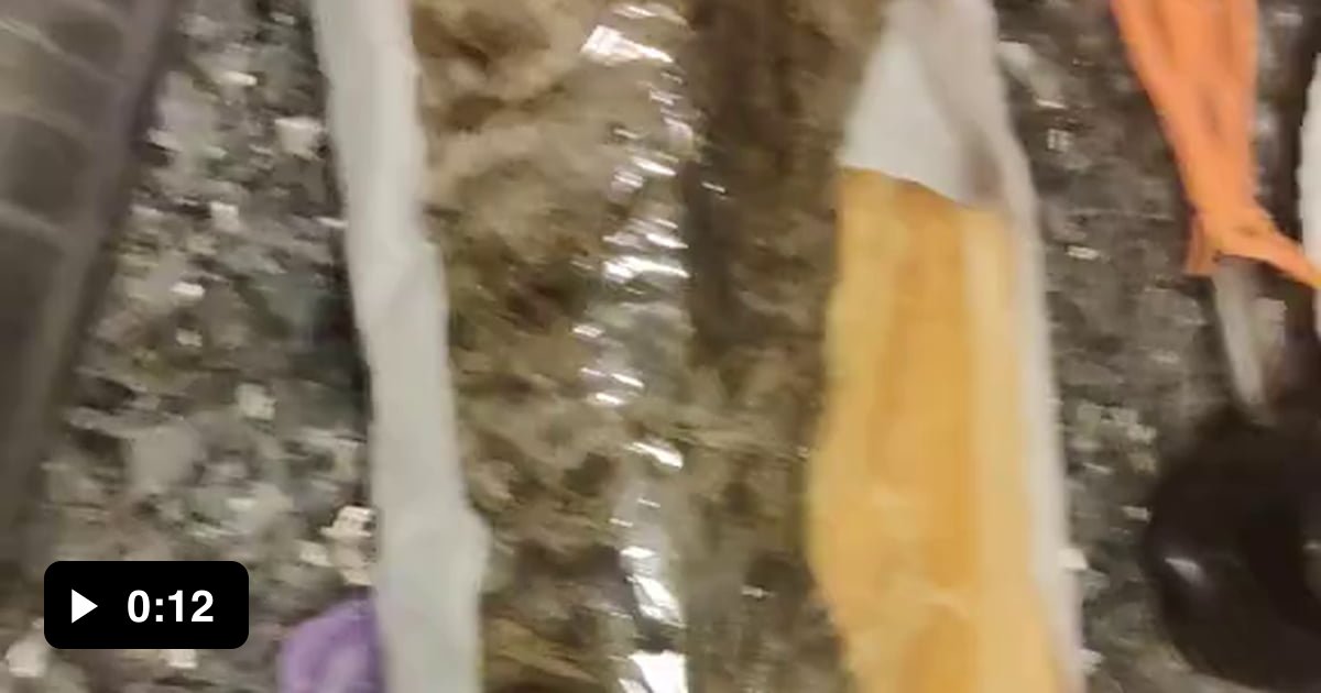 Here is your baguette - 9GAG