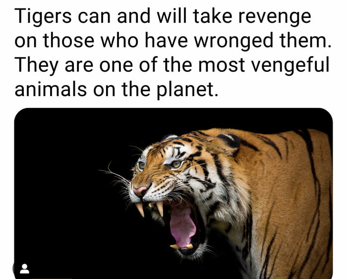 John Vaillant is an American-Canadian writer and journalist who wrote ...