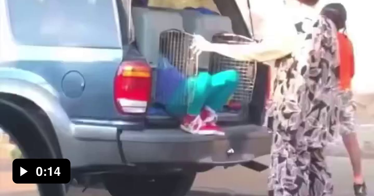 Who tf sees this and just keeps rolling?? - 9GAG