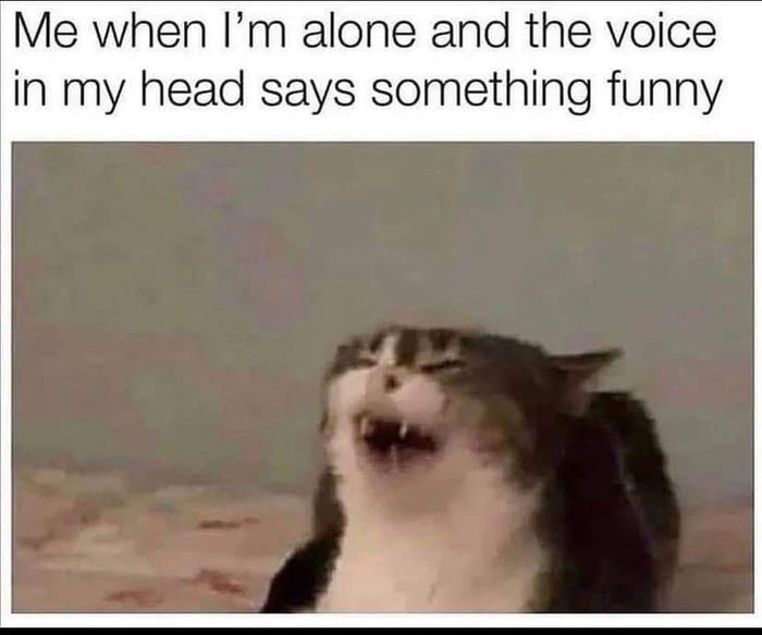 Thx for the voices in my head - 9GAG