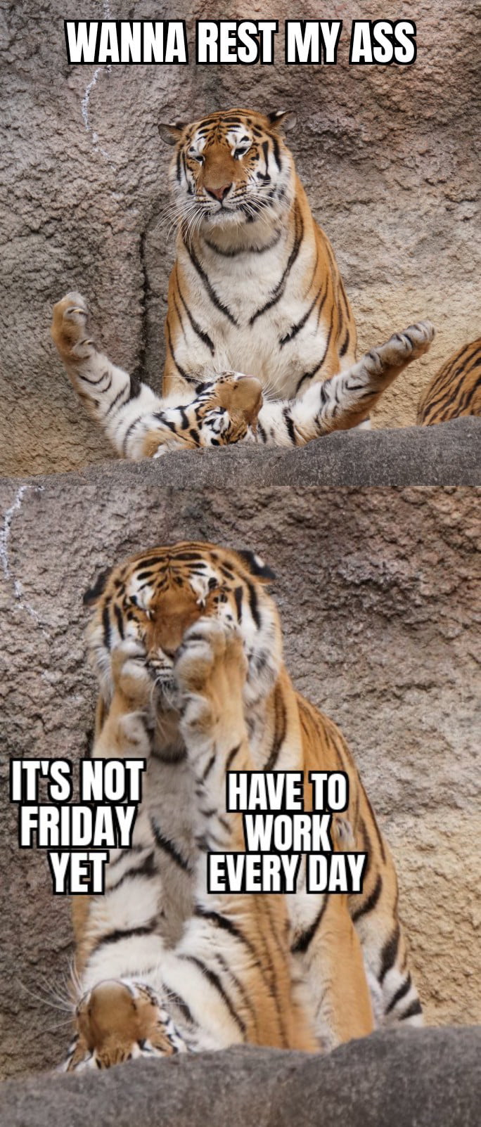 Meme potential? - 9GAG