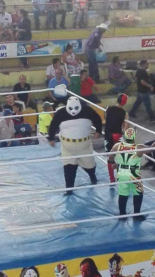 PO himself. The Mighty Boxing Warrior. - 9GAG