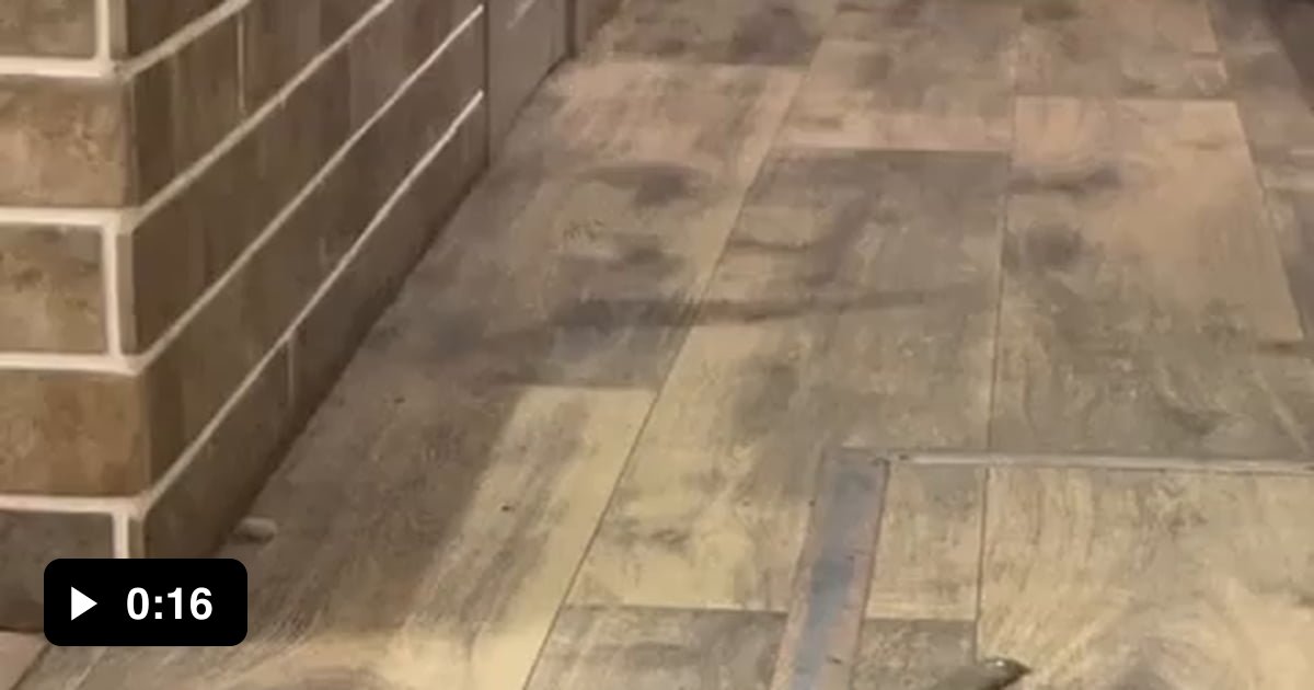 Such tiny paws, yet he stomps so loudly. - 9GAG