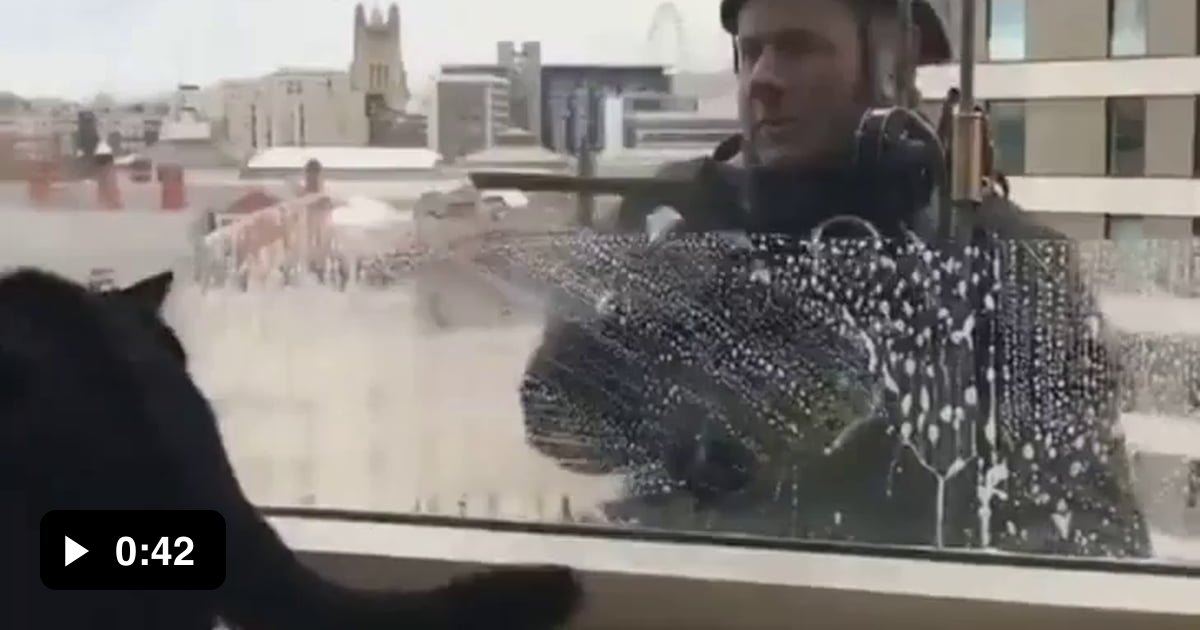 Window cleaner - 9GAG