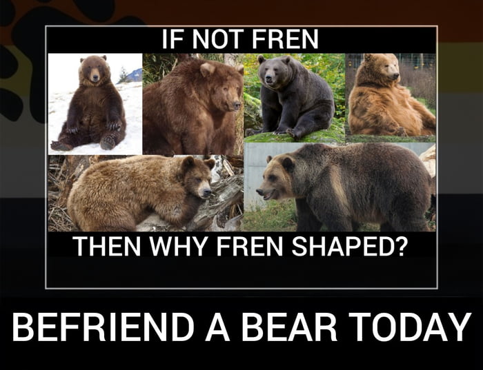 Bear buddy - 9GAG