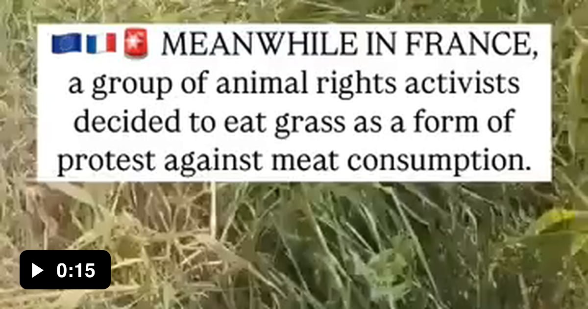 This makes me want to eat meat even more - 9GAG