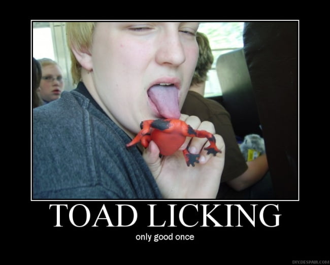 Darwin awards: toad section. - 9GAG