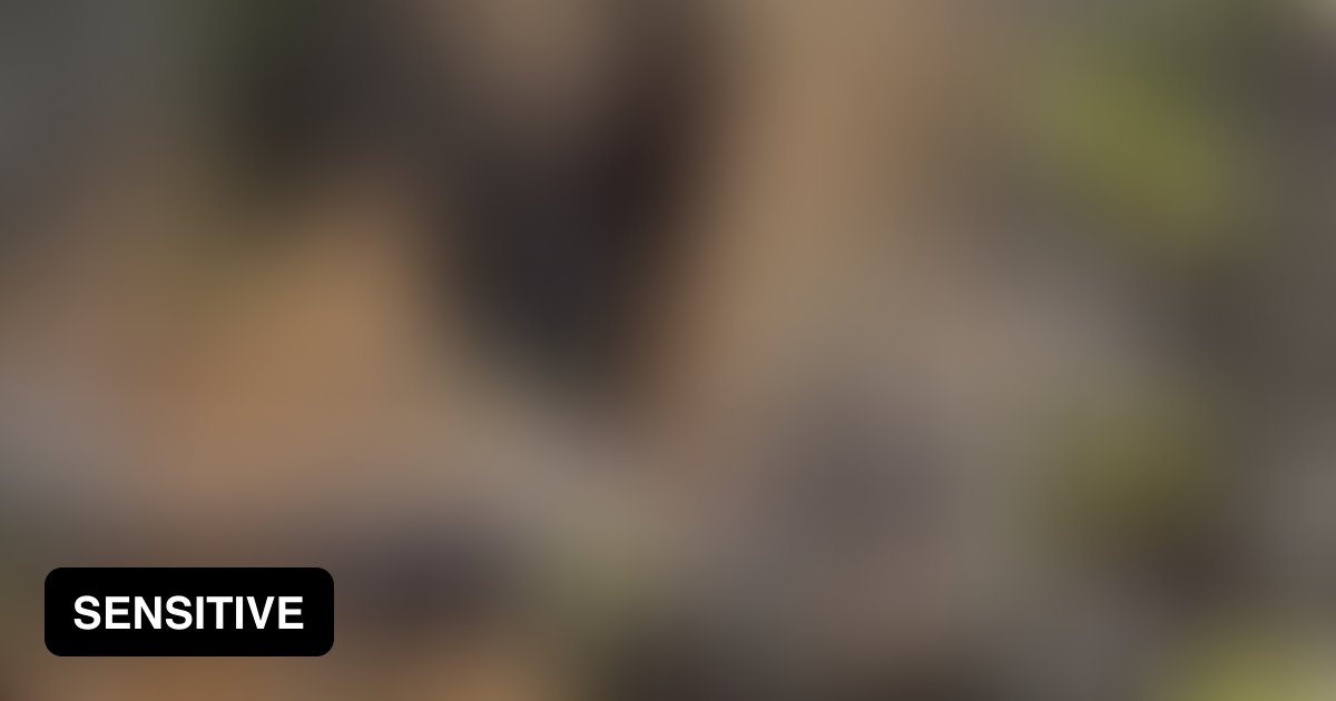 Get in shape simp! - 9GAG