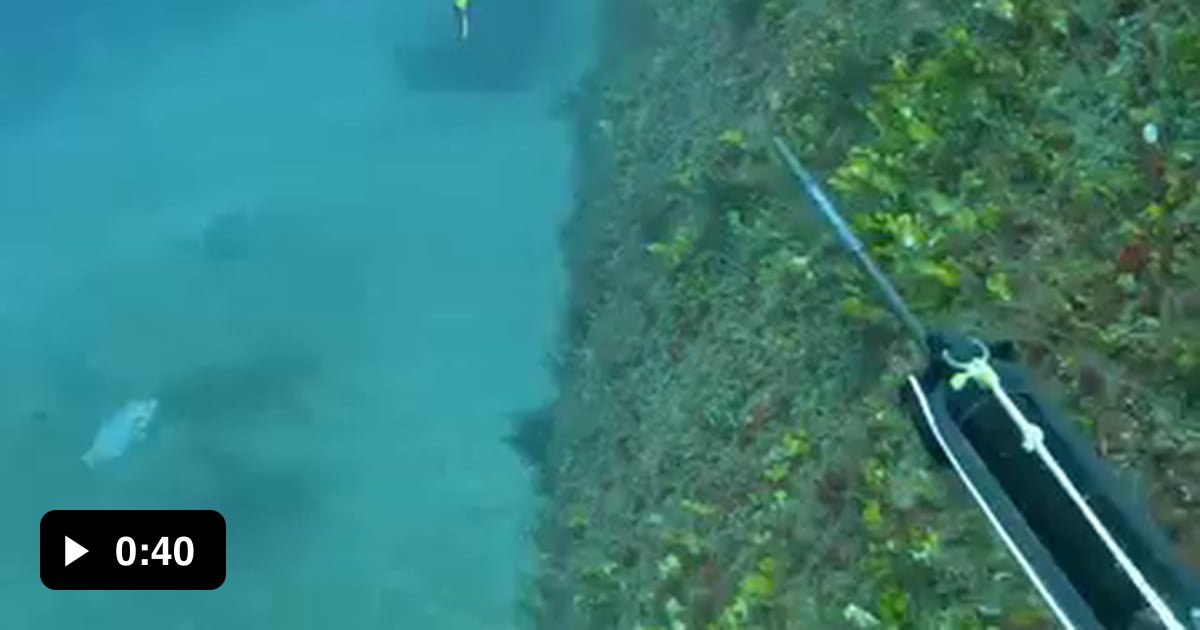 Ooowwwww that's a nice fish - 9GAG