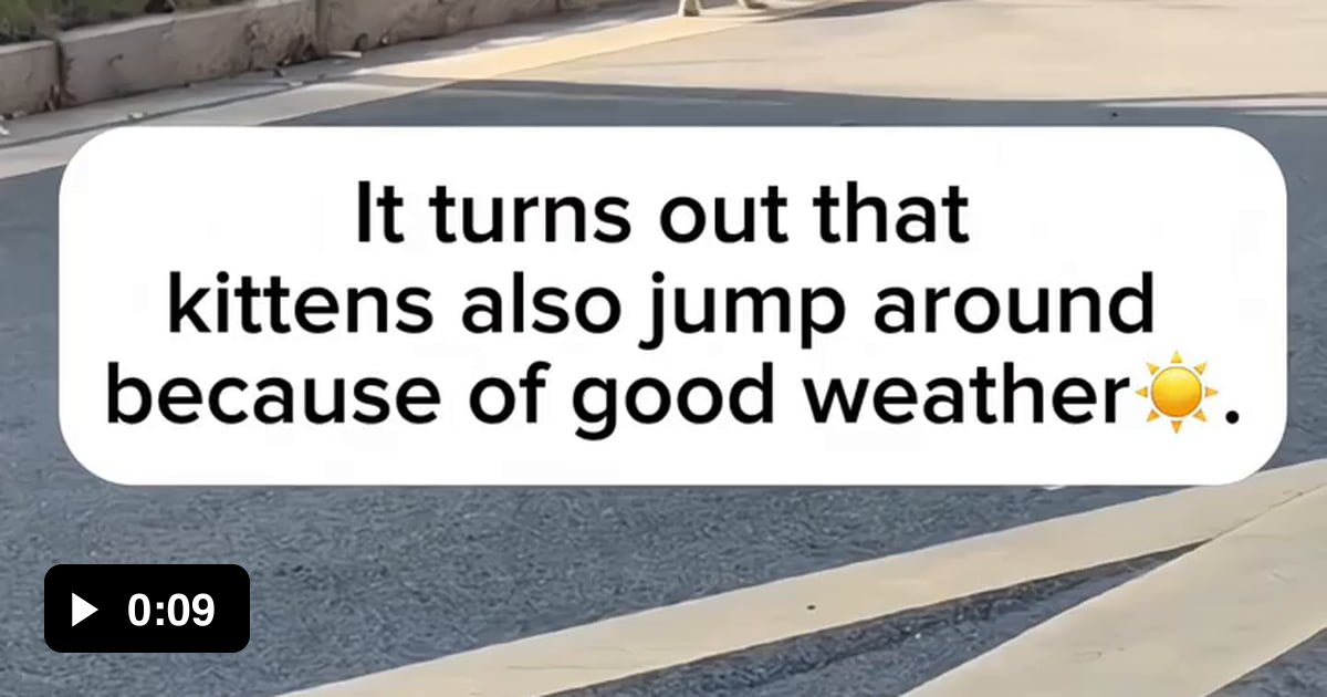 A happy kitty hopping around - 9GAG