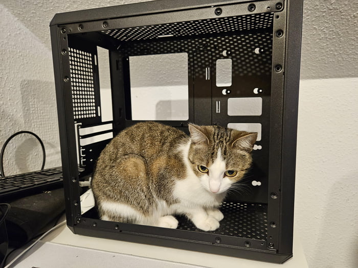 ITX cat in mATX case - 9GAG