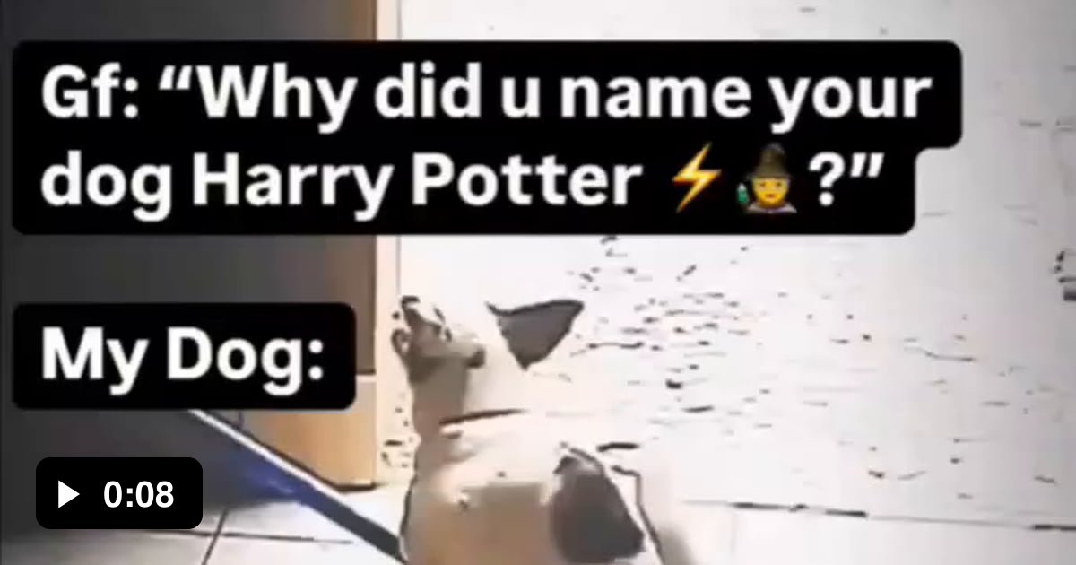 He is definitely trying to fly "Horny potter" - 9GAG