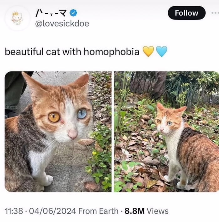 And she has two different eyes aswell. Extraordinary. - 9GAG