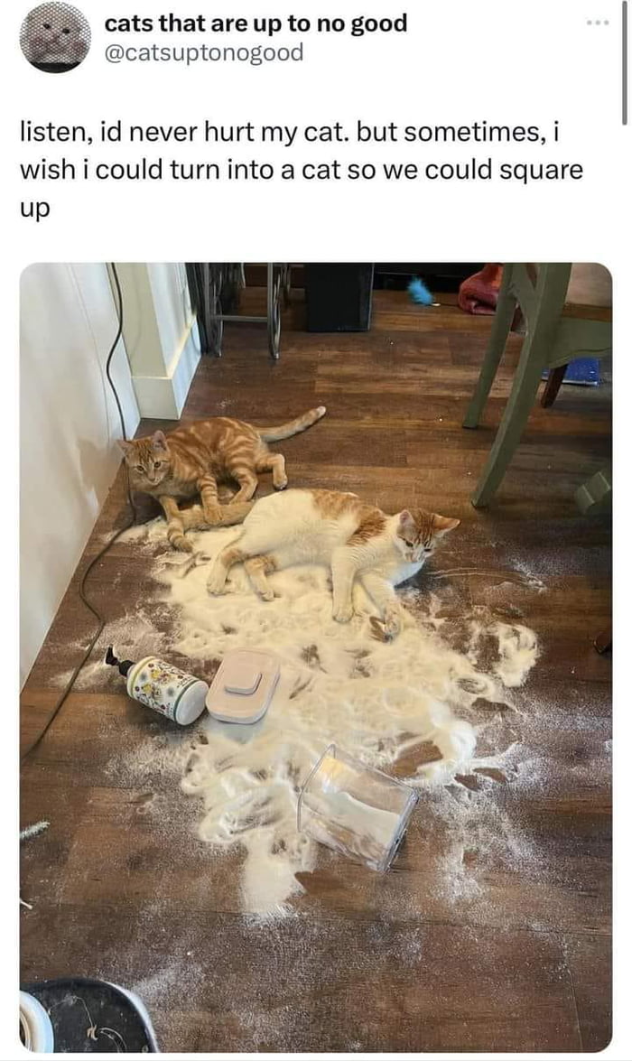 SO RELATABLE! LOL - 9GAG