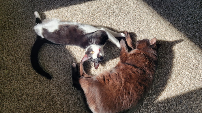 Cuddle your homies - 9GAG