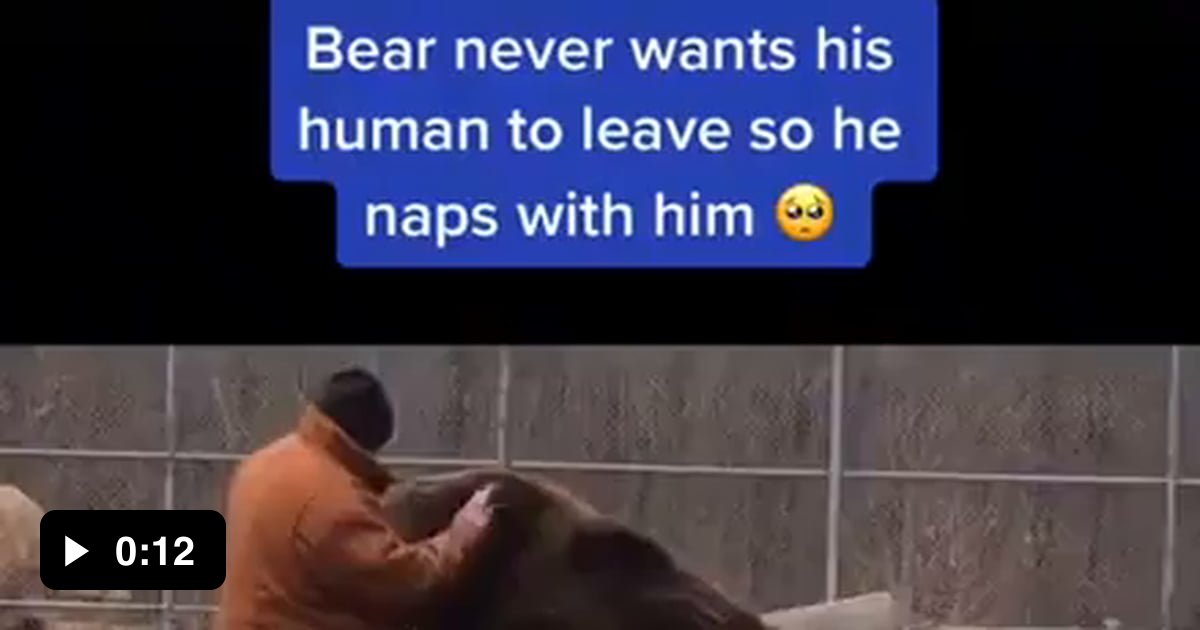 Bears can be cute - 9GAG