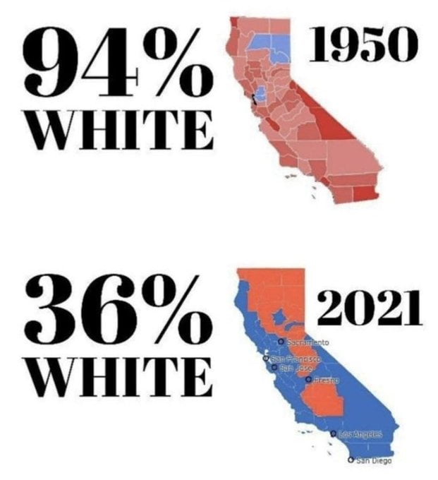 When the left says ''our democracy'' what they really mean is ''our non ...