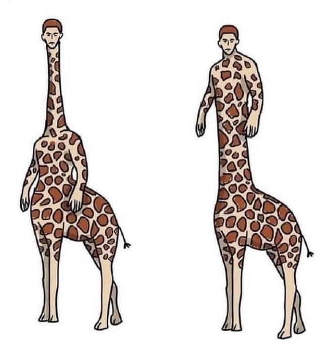 Giraffe centaur - 9GAG