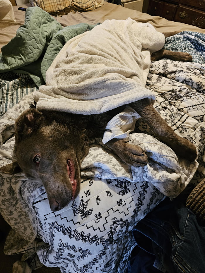 Bath time pouts! - 9GAG