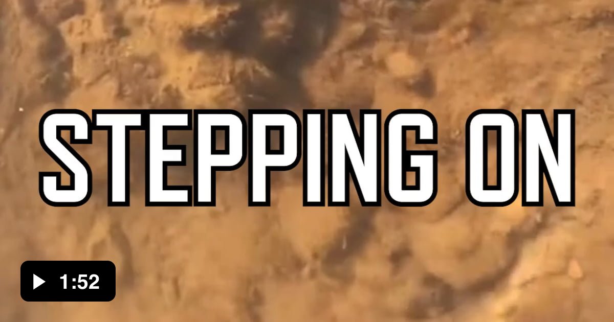 Dude Australia wtf - 9GAG