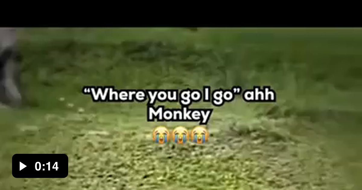 They evolving! - 9GAG