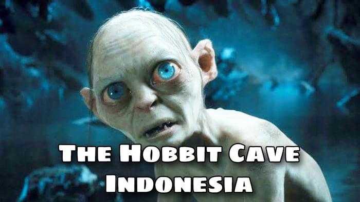 1.1 m tall Homo floresiensis ( /flɔːrˈɛziːˌɛn.sɪs/), also known as ...