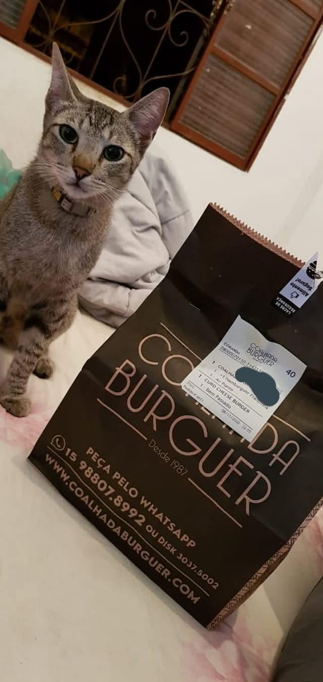 Burger cat review - 9GAG