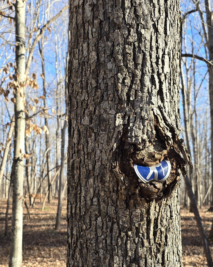 Hikers beware - 9GAG