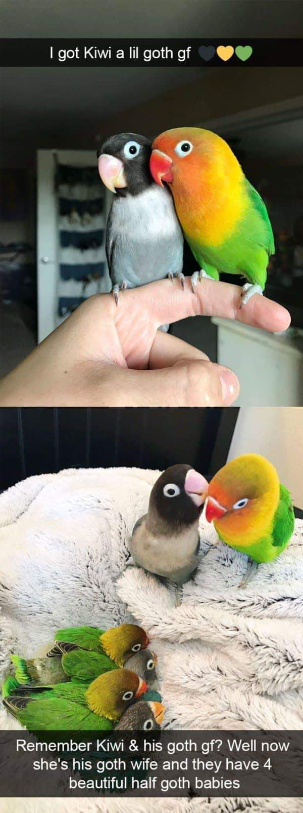 Thats Sweet 9gag 1463