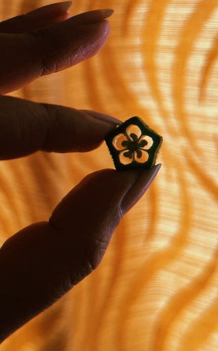 This perfect pentagon shaped okra(Lady-finger) - 9GAG