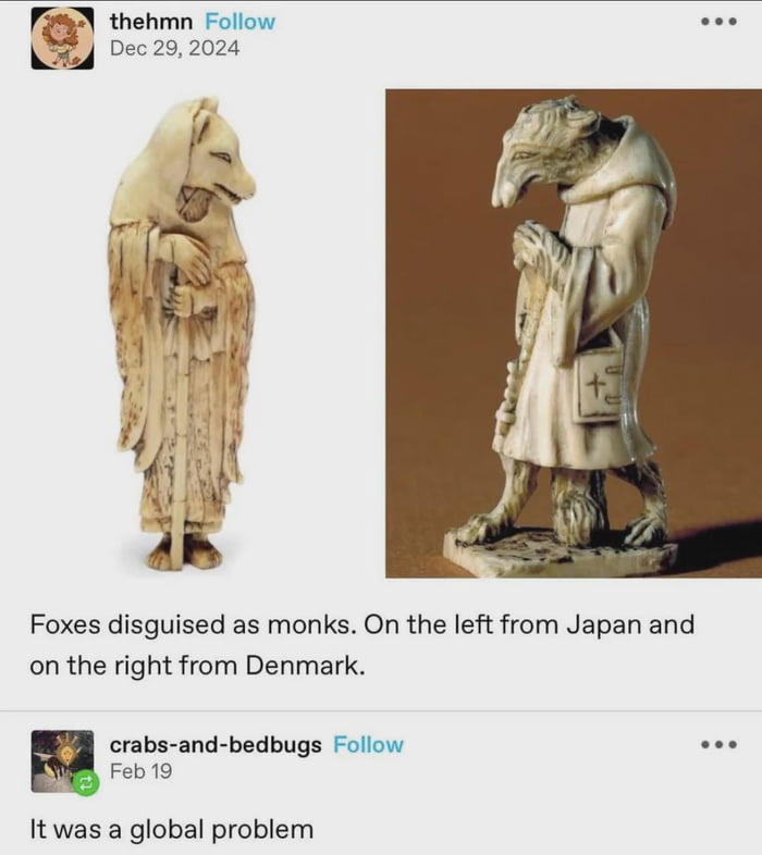 Foxes 9gag