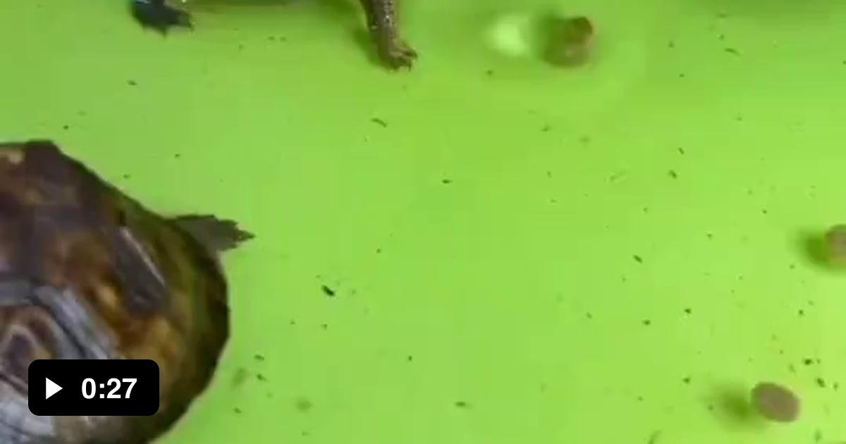 Just a nibble - 9GAG