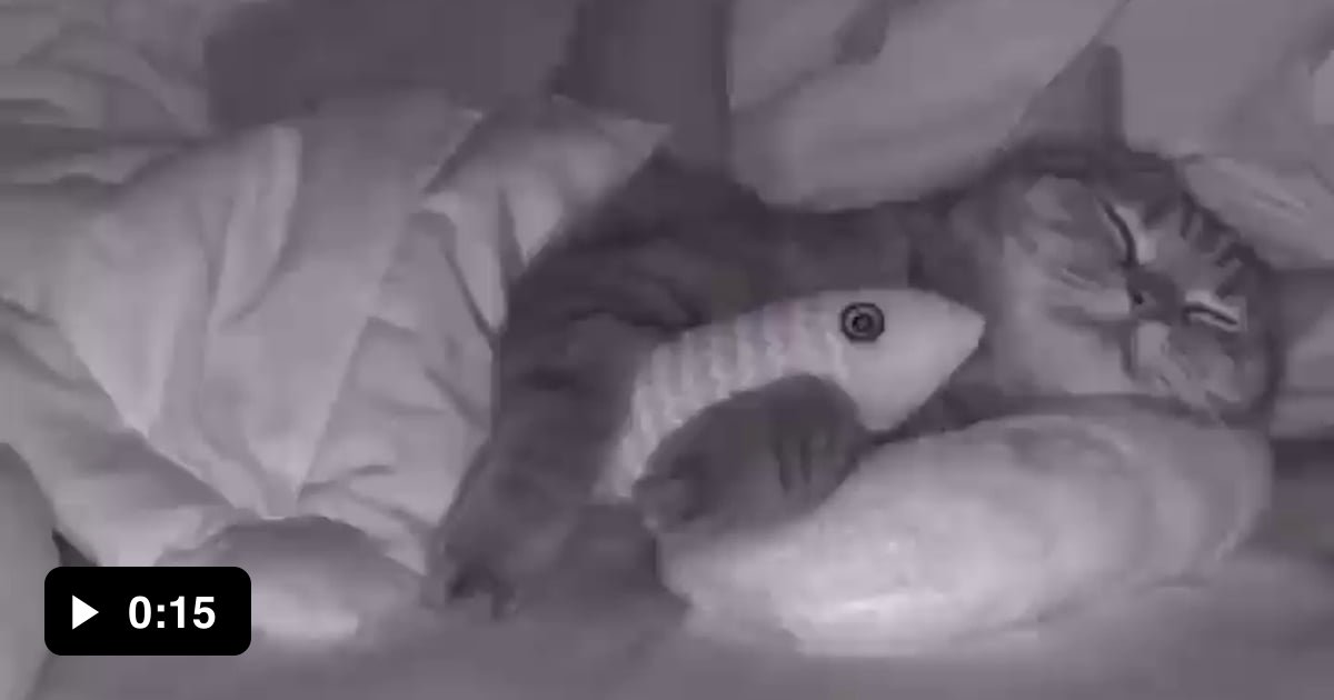 Sleep tight and cuddle up - 9GAG