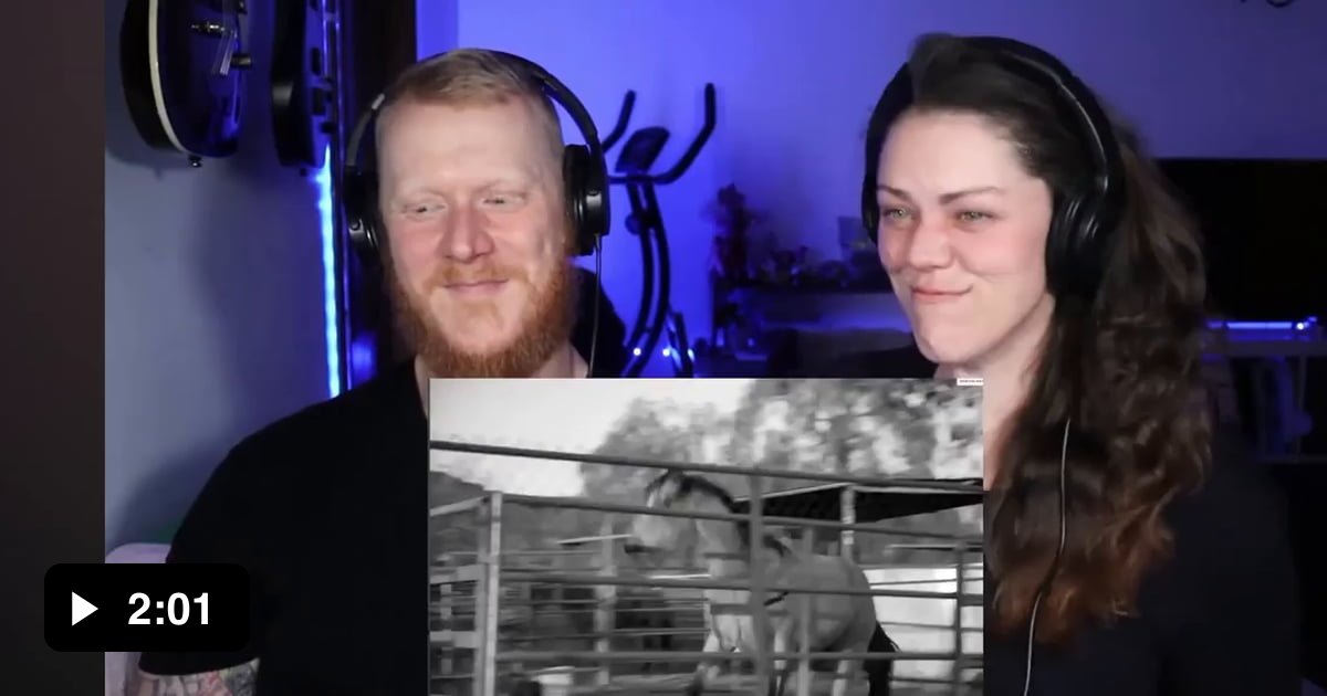 A clip taken from OB Dave Reacts over on YT - Reacting to Wheeler ...