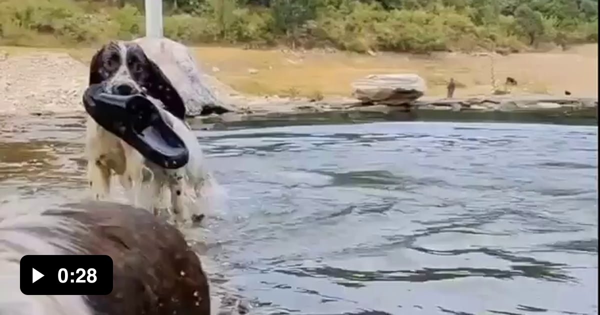 No!! No wear, only throw!! Why is this so difficult for you to ...