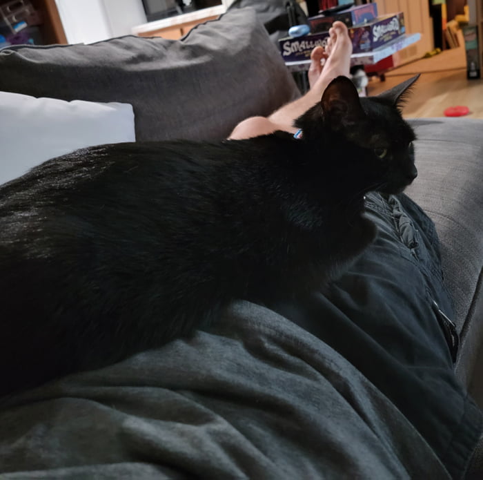 When I chill, she chills...on me. - 9GAG