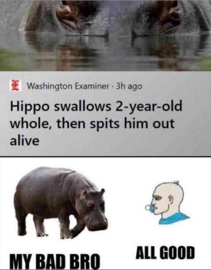 Harambe the sequel - 9GAG