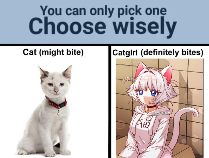 They both bite - 9GAG