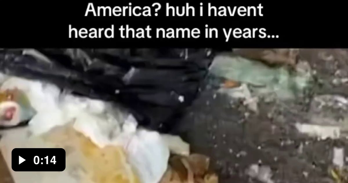 "Freedom? Yeah right..." Ahh bird - 9GAG