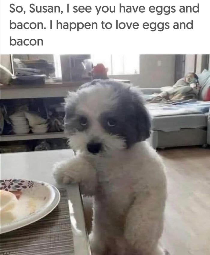 Susan, you know I love eggs and bacon - 9GAG