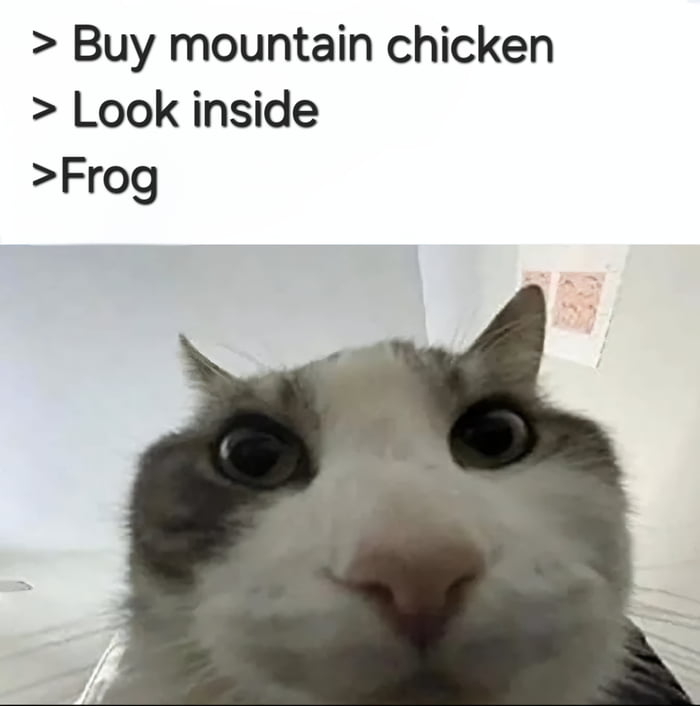 YOU! Have you ever heard of a mountain chicken? - 9GAG