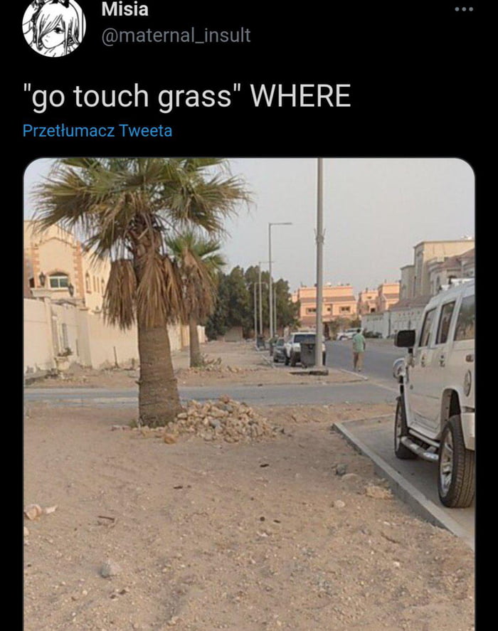 Touch some grass they said. smh - 9GAG