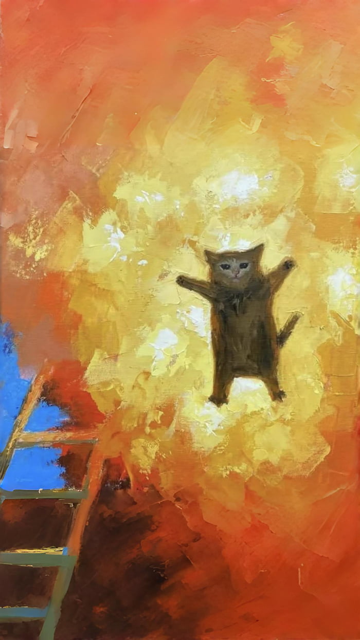 Mildly sad cat explosion wallpaper. - 9GAG