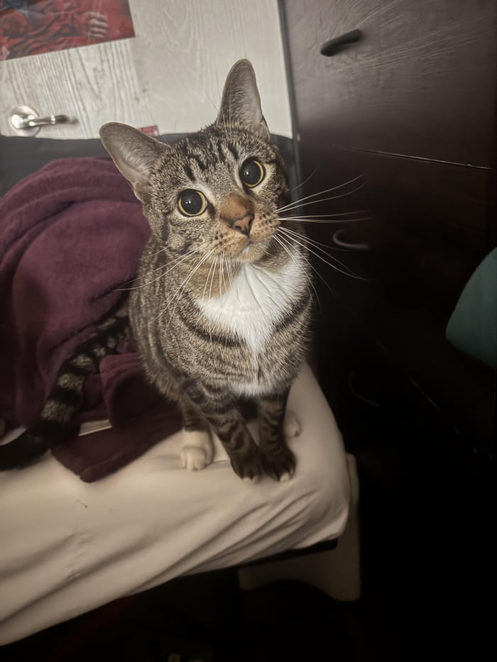 Don’t let this look fool you, he’s in full predator mode about to ...