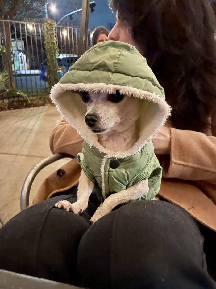 Why is her head so big? - 9GAG