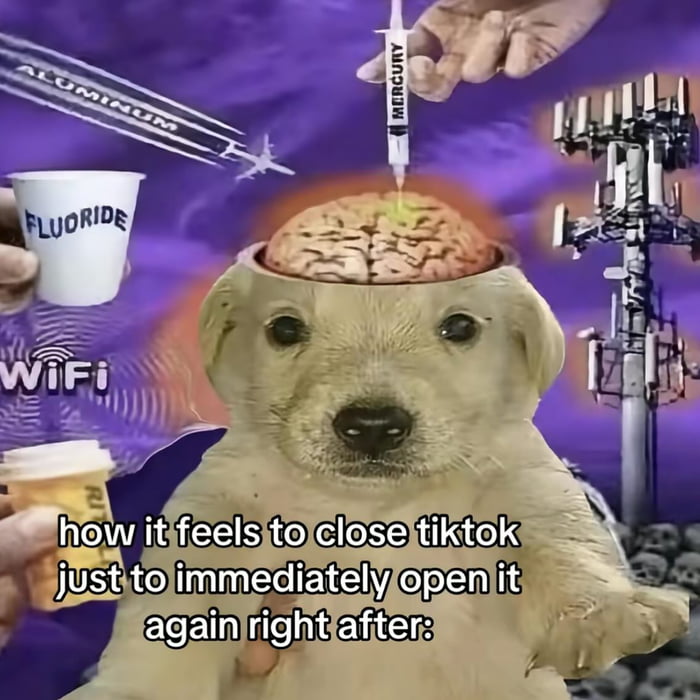 When TikTok becomes a brain-tickling habit - 9GAG