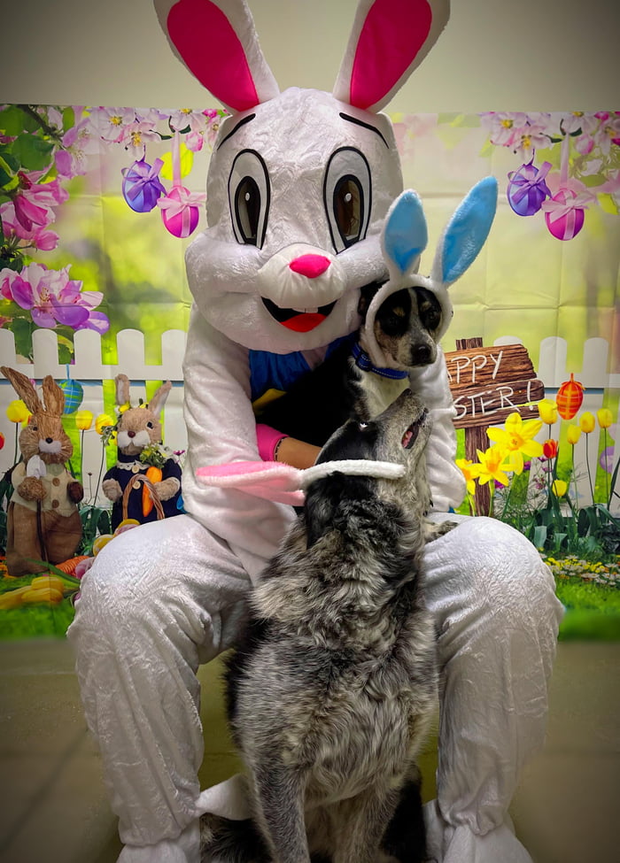 A Happy Easter - 9GAG