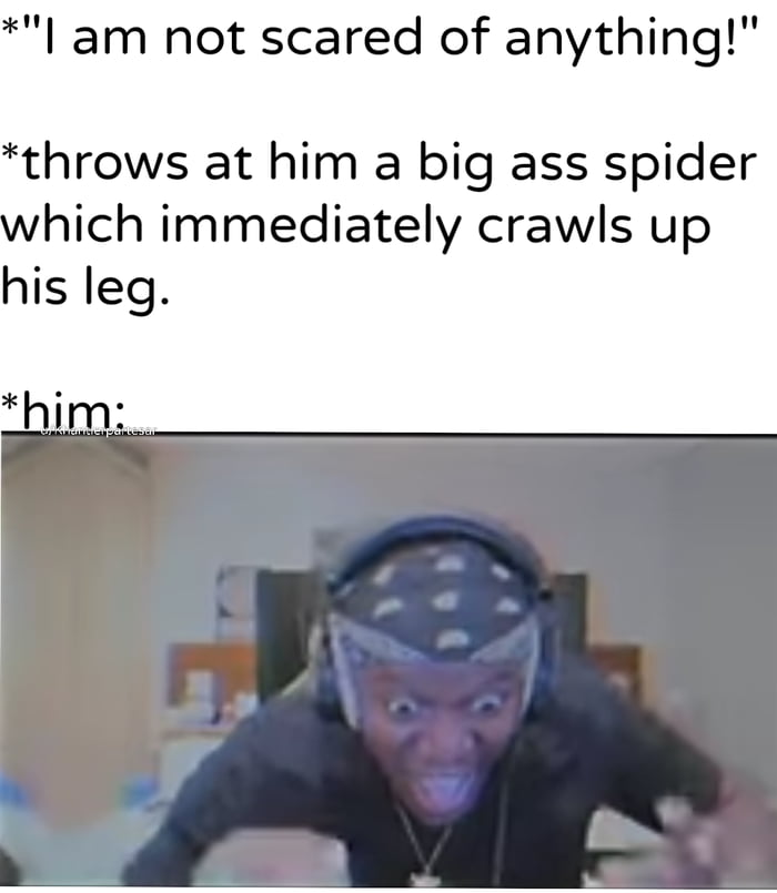The quick hairy feeling crawling up your legs is absolutely terrifying - 9GAG