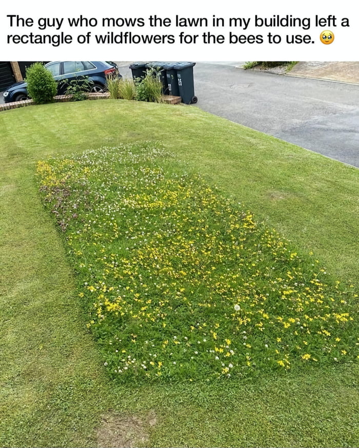 How to bee kind - 9GAG