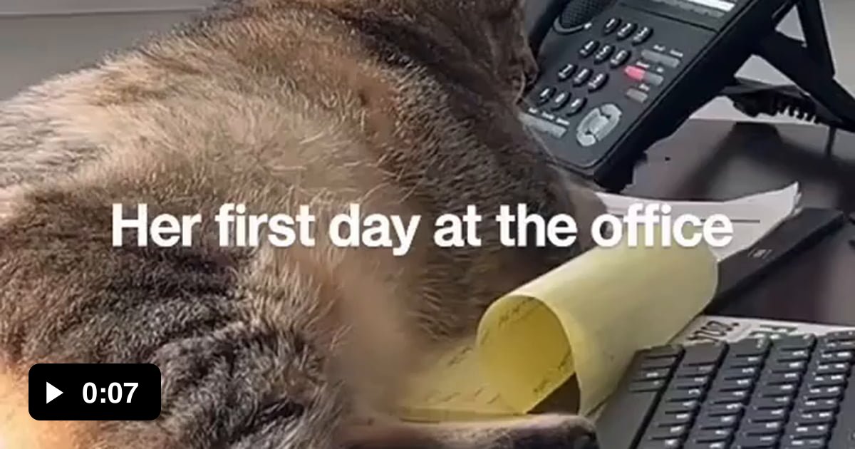 New Corporate Hire - 9GAG